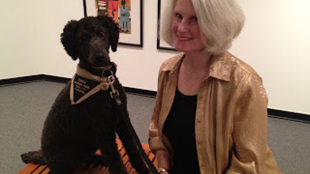 Meet Emma, the Docent Dog – American Alliance of Museums