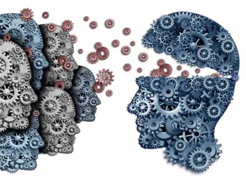 Museum Directors on Mentorship and Their Professional Journeys ...