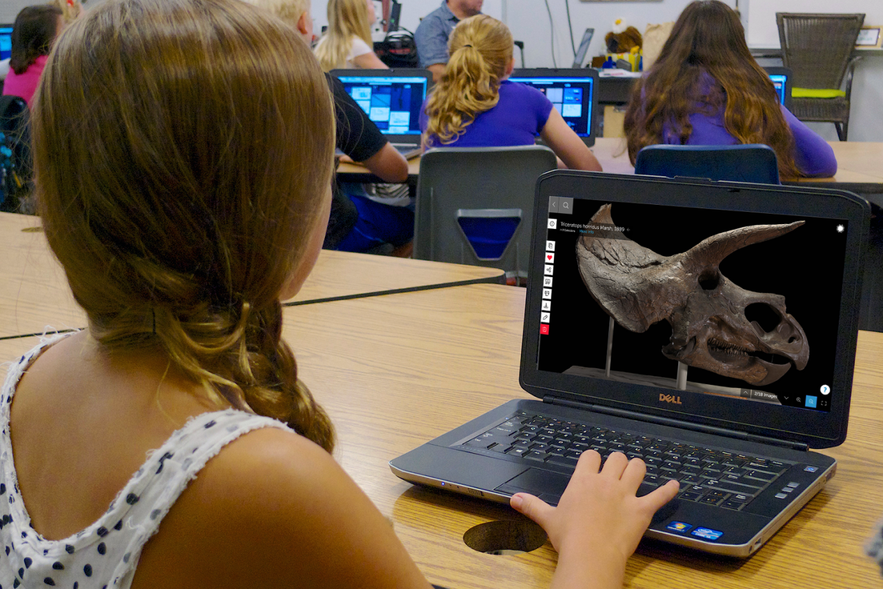 What It Takes to Engage Teachers with Digital Museum Resources: Five ...