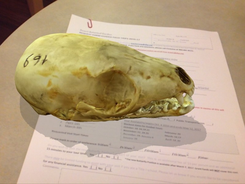 Outside the Collection Box: Connecting community with collections via ...