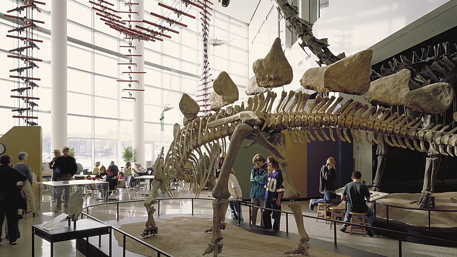 How Science Museum of Minnesota Put Its Collections and Research on the ...