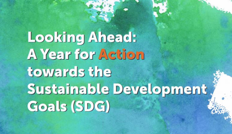 Looking Ahead: A year for Action towards the Sustainable Development ...