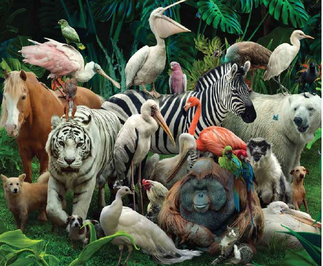 The Key to Conservation – American Alliance of Museums