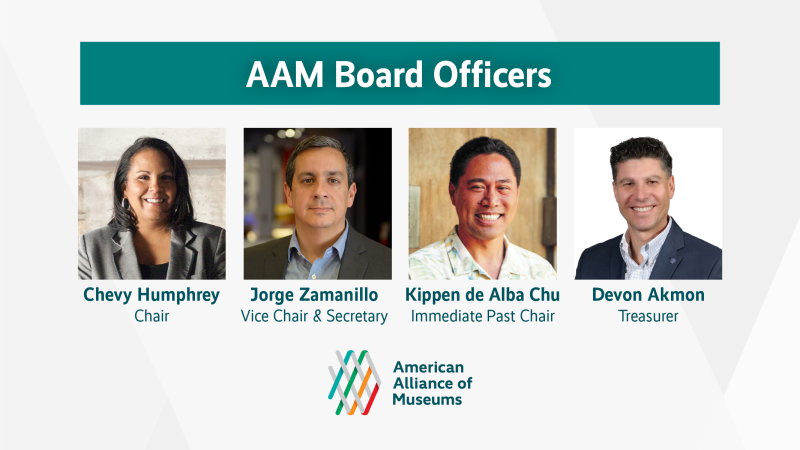 Supporting Your Volunteer Program through Risk Management and More ...