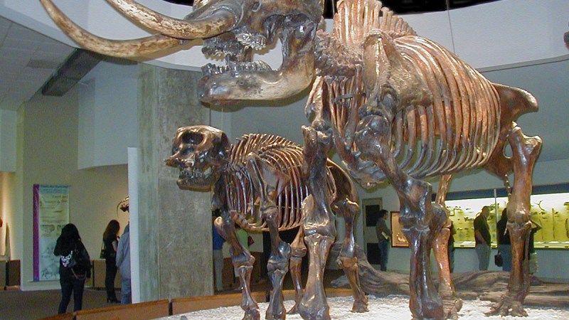 American Alliance of Museums – American Alliance of Museums