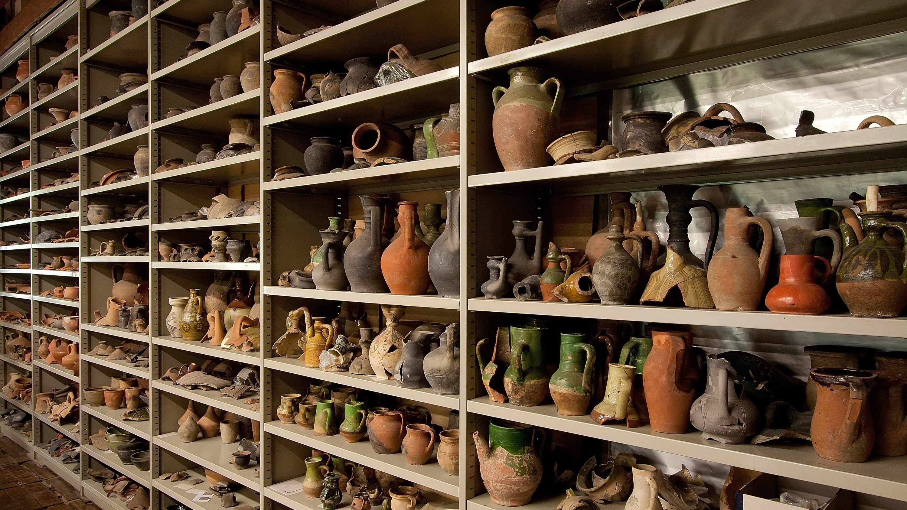 Collections Stewardship – American Alliance of Museums