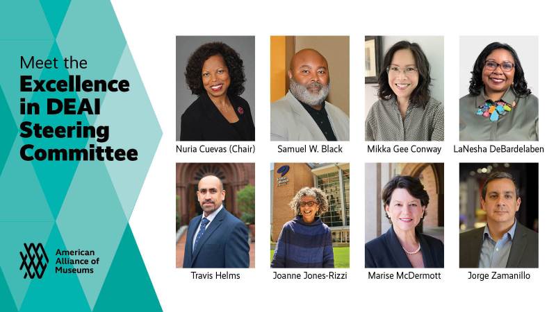AAM Announces Excellence in DEAI Steering Committee Members – American ...