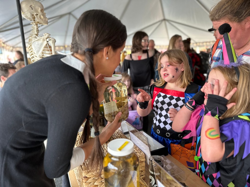 Finding New Audiences in Small Markets – American Alliance of Museums