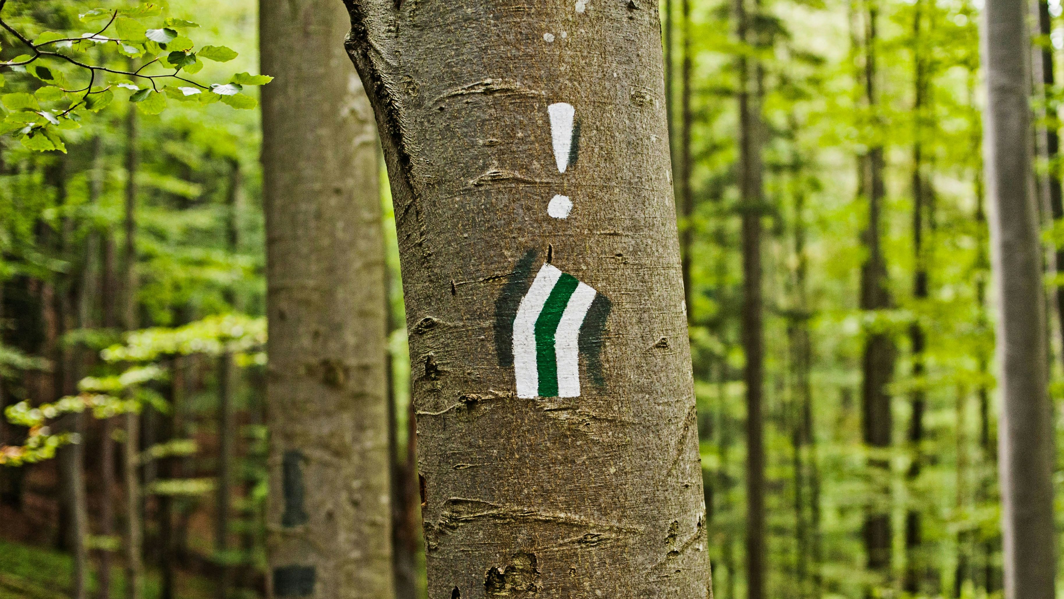 Content Warnings in Museums and Galleries: Taking a Proactive Approach ...