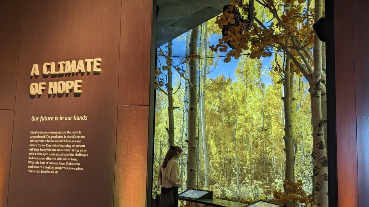 Climate Toolkit Webinar: How Museums Are Engaging Audiences on Climate ...