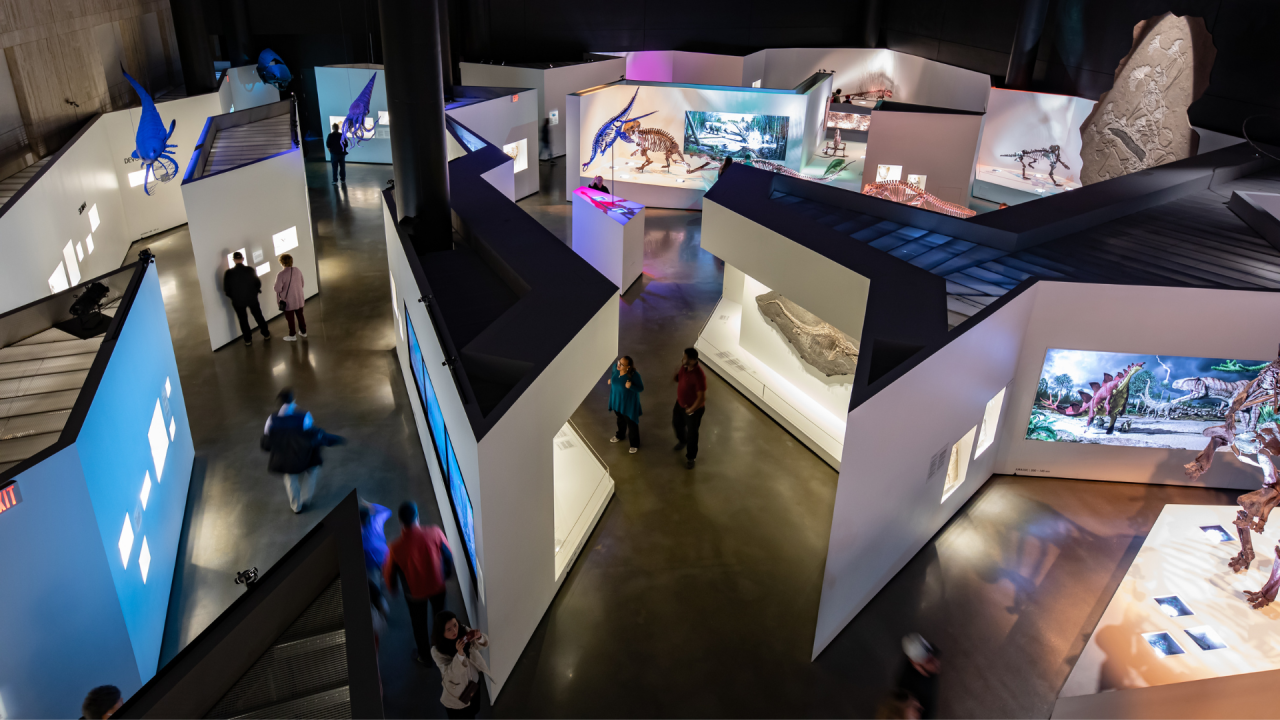 Crafting Cardboard Experiences: The Activity that Evolved into an ...