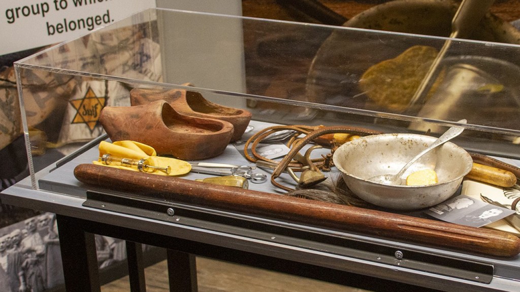 Curating the Experience: Museum Display Ideas That Captivate and ...