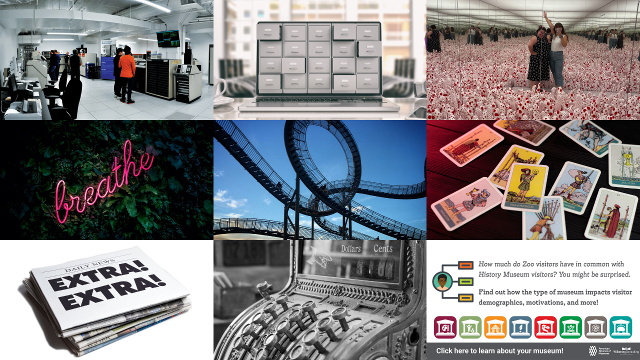 Curating the Experience: Museum Display Ideas That Captivate and ...